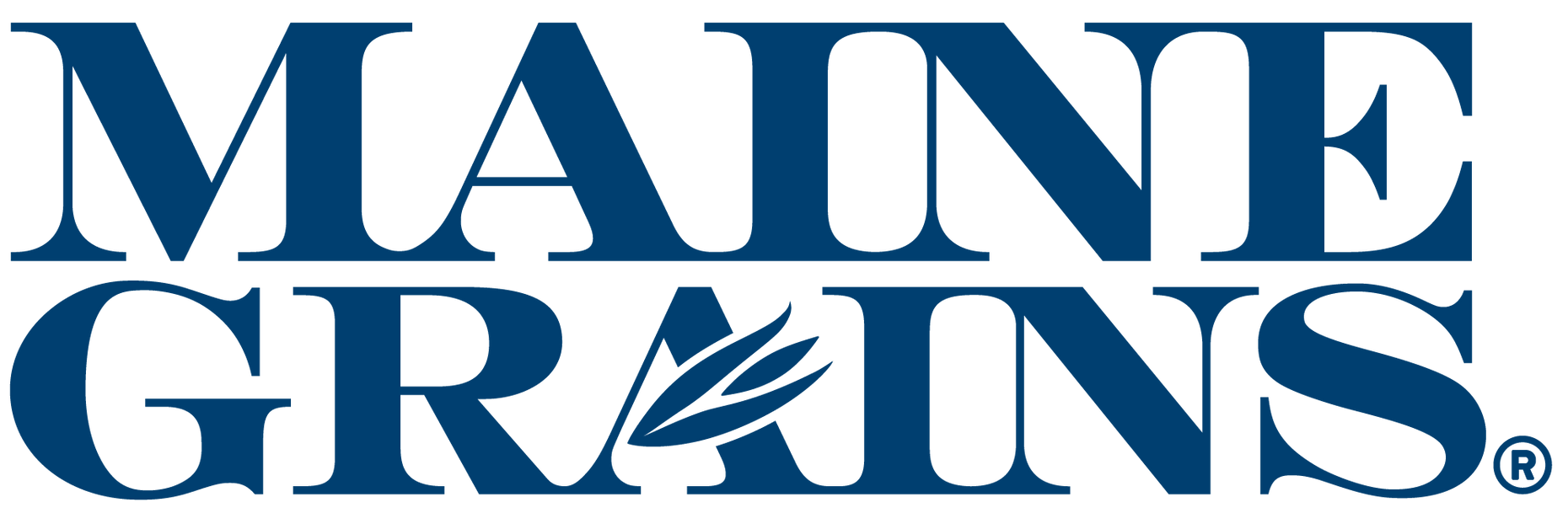 Organic Navy Beans – Maine Grains